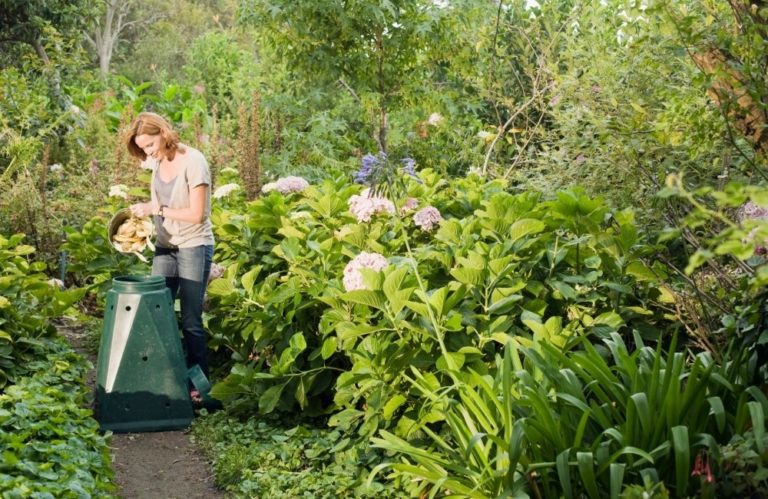 The Benefits of Composting - shelf