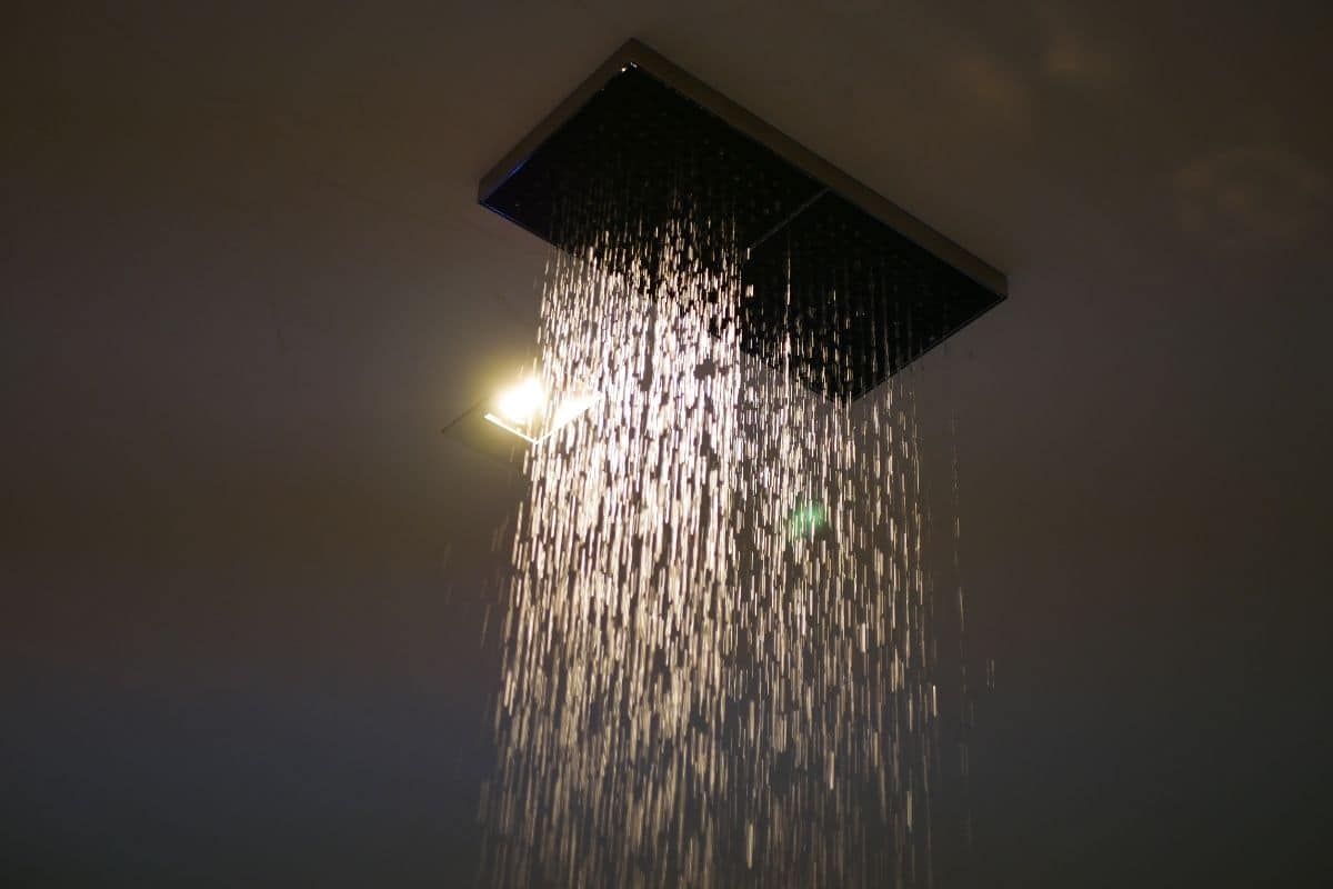 7 Best Rain Shower Heads in 2024 - shelf