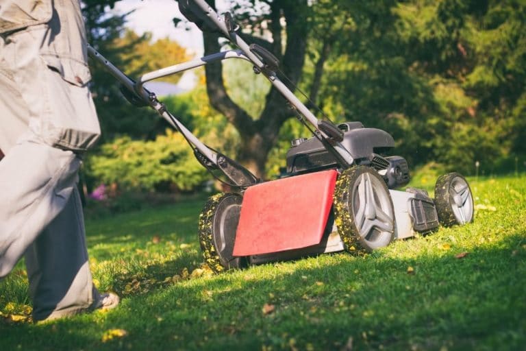 10 Best Lawn Mowers for Hills in 2023 - shelf